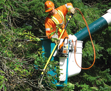 Hydraulic Pruner - Hydraulic Looper | CS Unitec