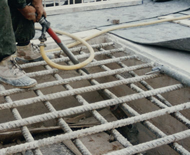 LPS55 Pole Scabbler| CS Unitec